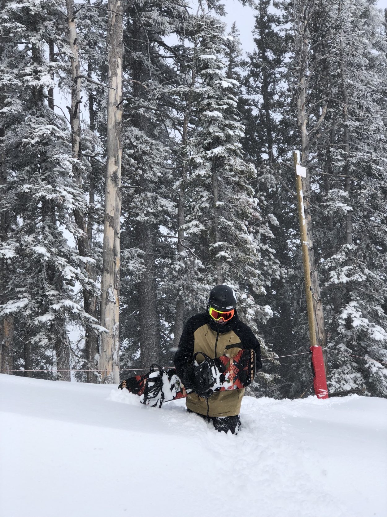 407+ Days and Counting: Jake Loughlin Hasn’t Missed a Day at Jackson ...