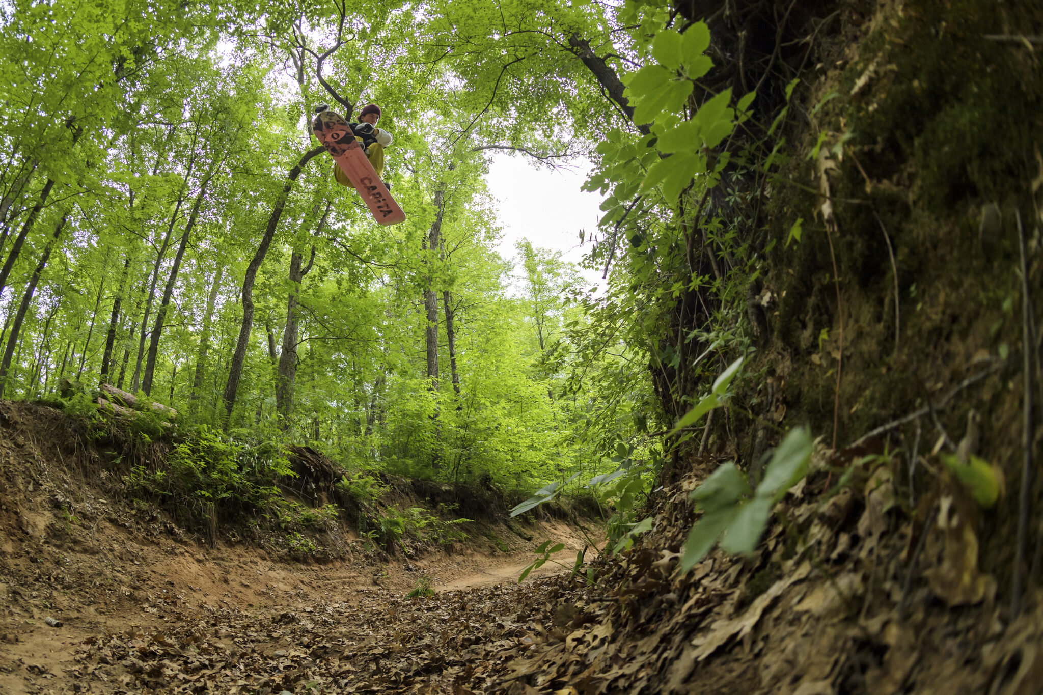 Red Bull Solves Climate Change with Benny Milam – Snowboard Magazine
