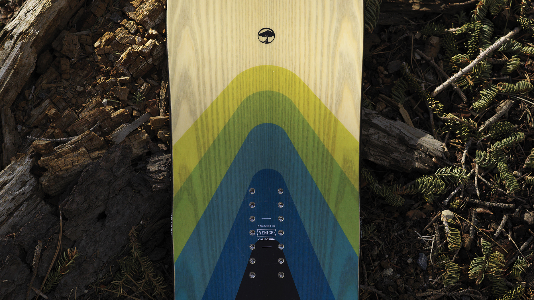 A Look at the 2023 Arbor Crosscut Camber – Snowboard Magazine