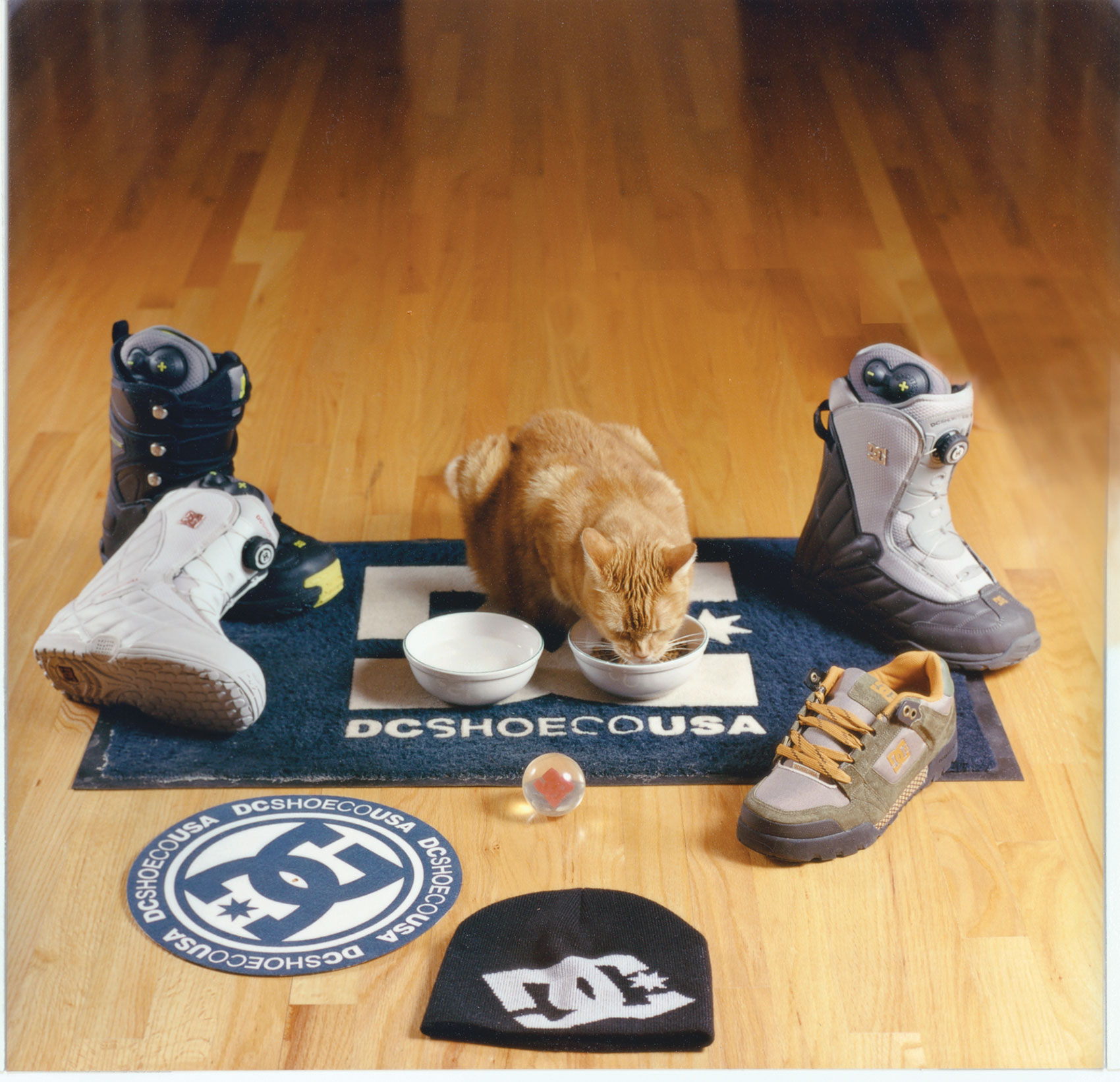 DC vs DC: A Look Back at an Interview with Ken Block in 2005 ...