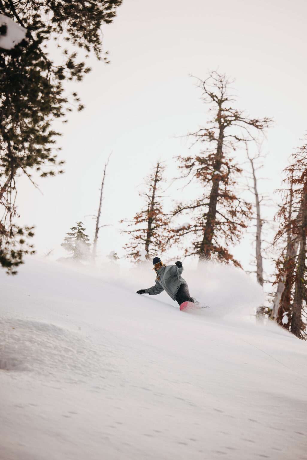 A Snowboard with a Porpoise: Burton Re-Releases Shannon Dunn-Downing’s ...
