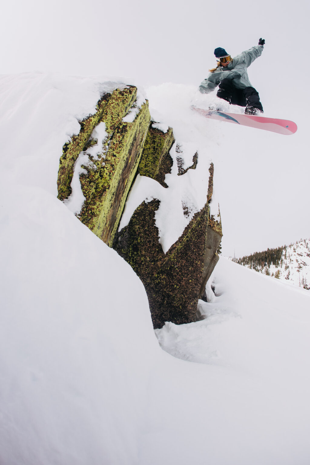 A Snowboard with a Porpoise: Burton Re-Releases Shannon Dunn-Downing’s ...
