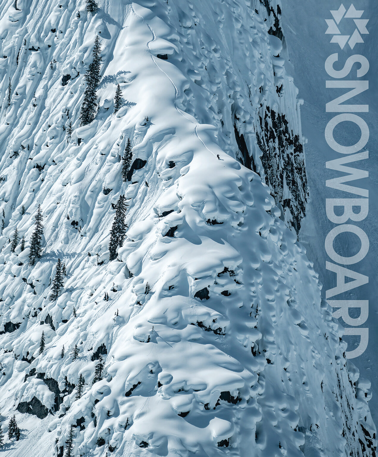 Behind the Cover: Travis Rice on the Never-Before-Ridden Velvet Castle ...