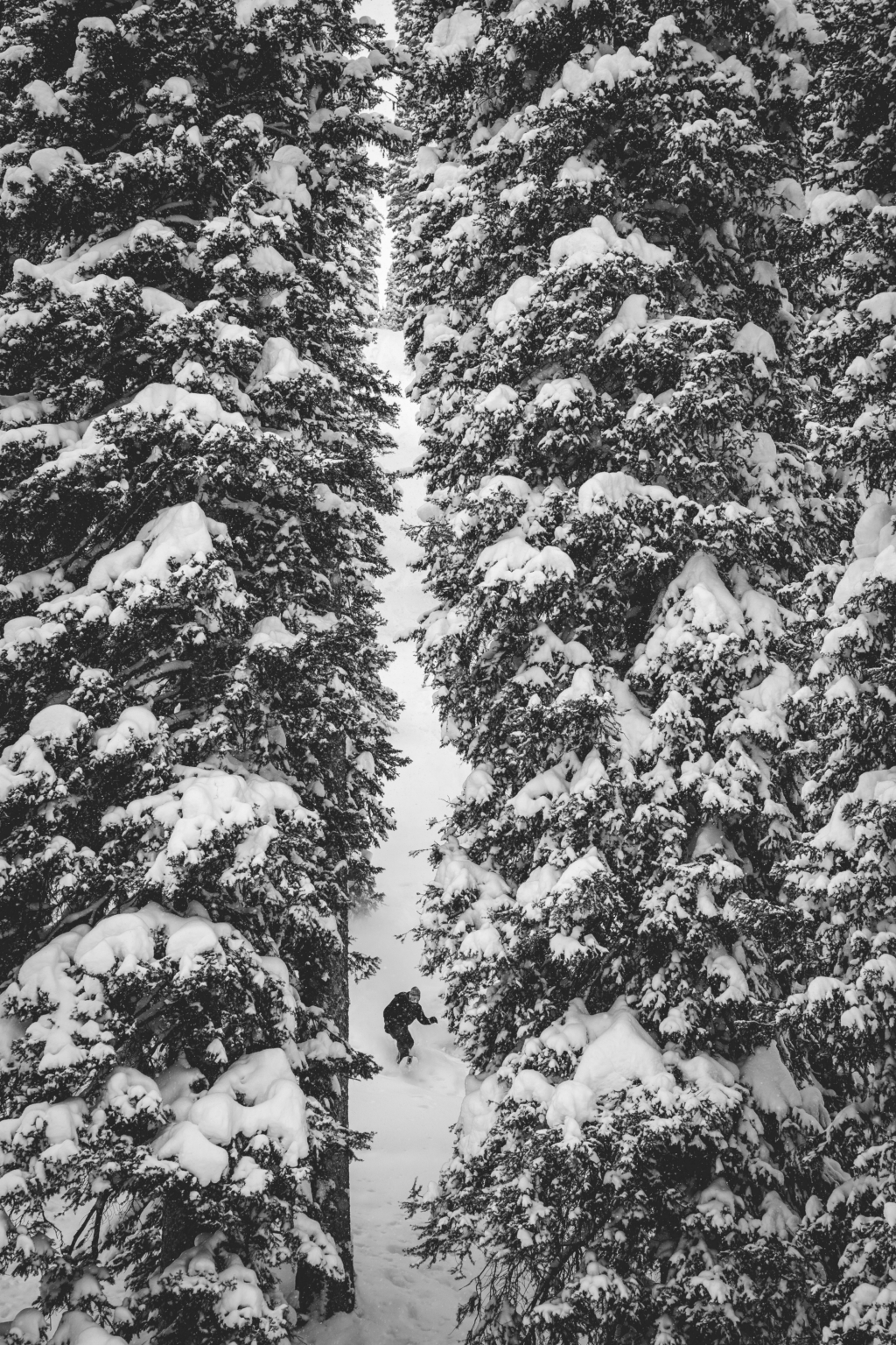 Behind The Cover: Austin Smith by Alex Pashley in Alaska – Snowboard ...